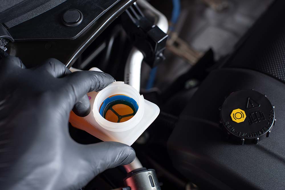 Keep Your Car Happy: Essential Maintenance Tips | Bud’s Auto Service ...